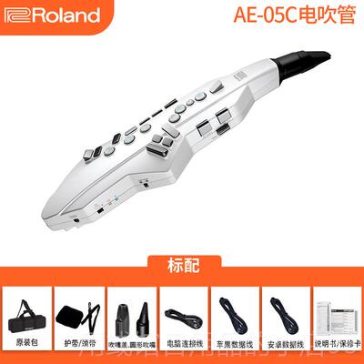 正品Rolan管d5罗兰电吹乐器AE芦01C AE0电子萨克斯娱乐初学管乐葫