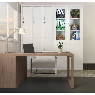 广西办公室文件柜制铁档皮柜子钢案柜资料HC-020柜务凭证带锁财储