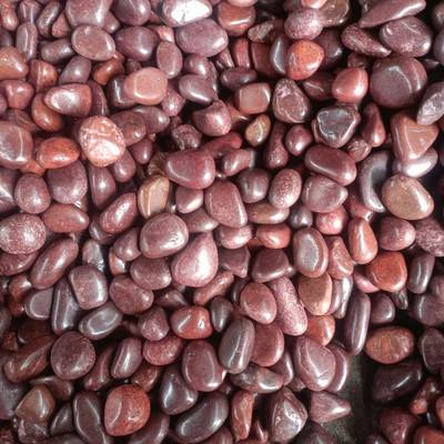 红雨色鹅卵石572花石阳台院路景观装庭饰铺鱼缸造景红砂岩天然石