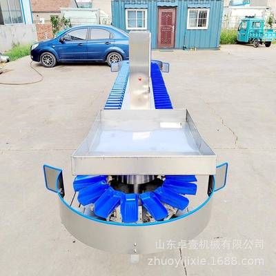 海参量分选机级鸡爪全称自动牡蛎重量分重拣机生EVS蚝重分机分选