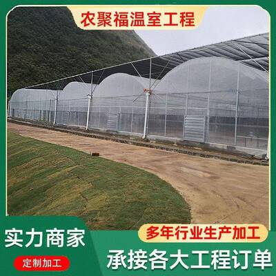 安装设计连栋温大棚水室果蔬菜TOJ种连体大棚骨薄膜连架植栋温室