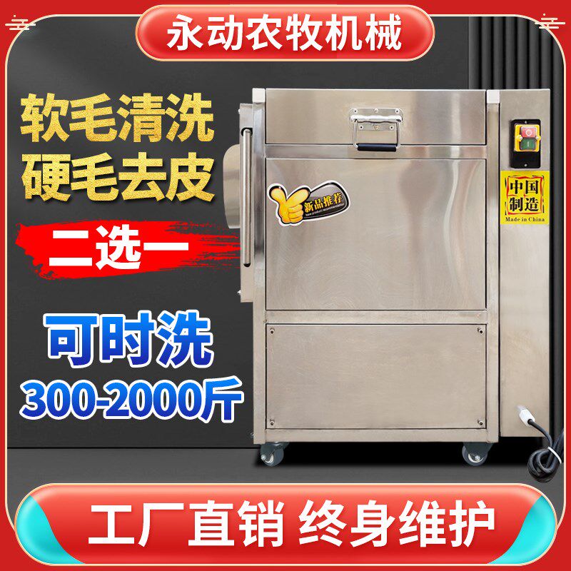 全自动毛辊清洗机红薯土豆去皮机生蚝扇贝毛刷清洗机萝卜脱皮机