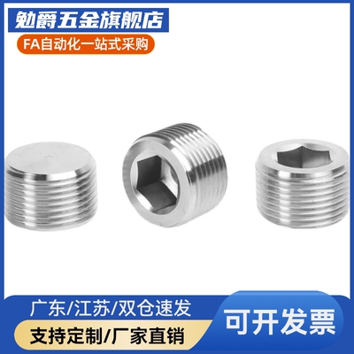 MSWTS/MSWTSK-J/S/1/2/3/4/6/8不锈钢喉塞 锥型沉头螺塞