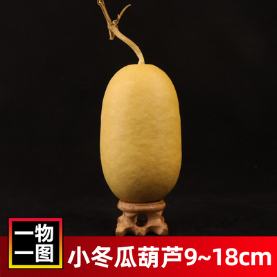 【一物一图】天然小葫芦小冬瓜葫芦异型奇形摆件手把件文玩手捻