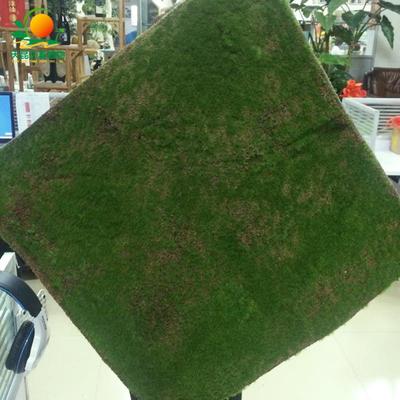 天昆仿真植毛假毛草绿皮室内外墙c1体色假植苔造景假青植物墙