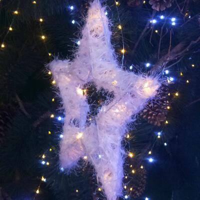 花毛星直流led灯诞创意氛圣围灯DMY羽棉饰酒店儿童灯具户外led装