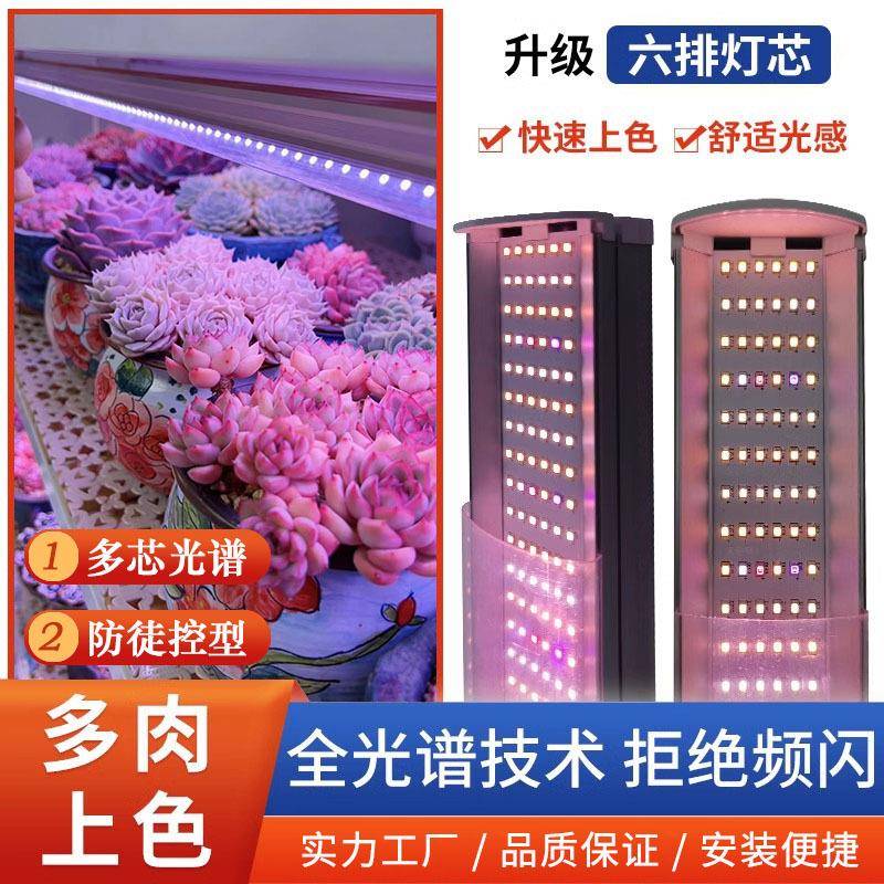 光E植物之光多肉光灯上色全谱多芯LD植物补JTX生长灯
