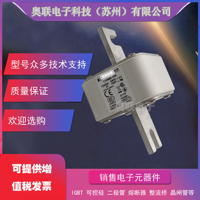 巴斯曼熔断器保险丝170M8629-863