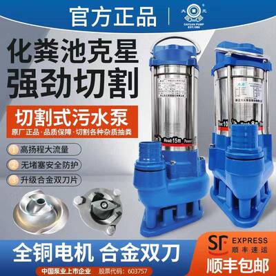 大元锈钢小型水泵220v抽XYN粪泥切割化浆粪池380污v三相泥浆不排