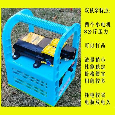 肥追肥扬抽肥泵草莓电动冲施肥器水溶大棚CWO灌吸肥高肥压滴农用