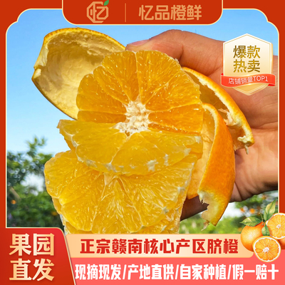 正宗赣南脐橙核心产地直供礼盒
