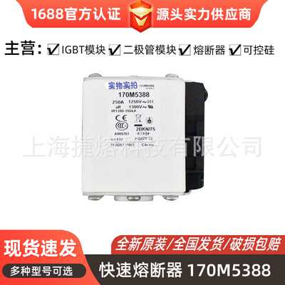 170M5388  170M5398 快速熔断器  保险丝 电子元器件 量大价优