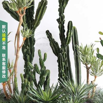 超大天伦柱沙生植物龙舌兰大型沙生景观造景仿真仙人掌仙人柱
