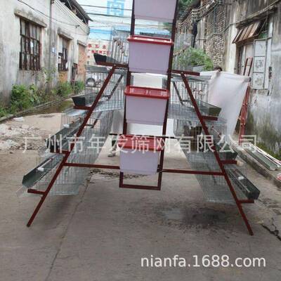 三锌层四层镀蛋笼现货层出叠式鸡养殖铁丝YDD网鸡笼口蛋鸡笼