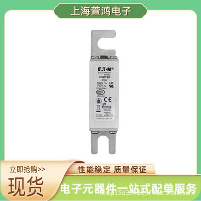 170M3623 170M3622 170M3624 170M3647原盒 交流熔断器 保险丝