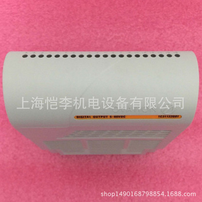 WESTINGHOUSER-S108V01-16-24V