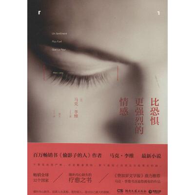 正版新书  比恐惧更强烈的情感 [Un sentiment plus fort que la peur] 马克·李维 著 湖南文艺出版社