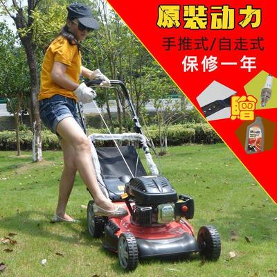 斯手特克MAC汽油割草四冲程坪机推式自走草式家用剪除机草机