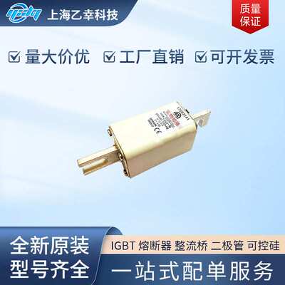 巴斯曼熔断器  170M3363 170M3364 170M3365 170M3366 170M3367
