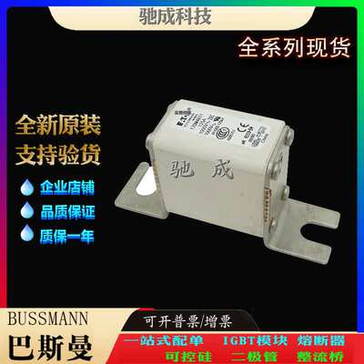 巴斯曼170M4810 170M4811 170M4812 厂家直供量大价优 方体熔断器