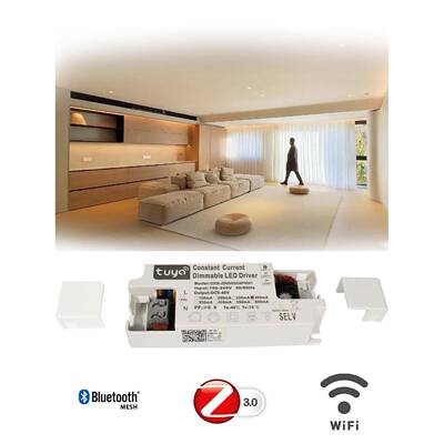 Tuya智能可调光双色温驱动Zigbee 30W 350-700Ma