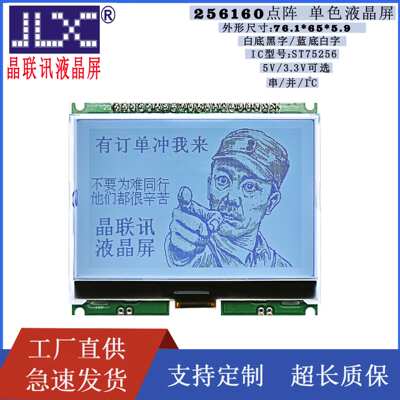 256160G-910-PL液晶显示模块256160点阵液晶屏模块3.2COG液晶模块