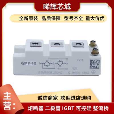 BSM30GD60DLC BSM30GD60DLC E3224 功率半导体igbt电子元器件