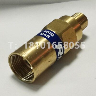 力高REGO安全阀PRV9432T 低温杜瓦瓶安全阀LNG液氮液氧 1/4