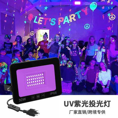 供跨境30W防水LED紫光派对泛光灯鬼屋万圣节装饰氛围UV投光灯110V