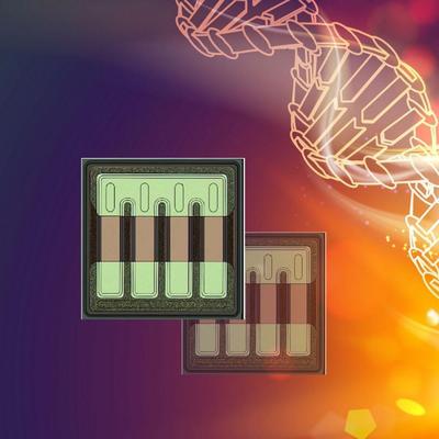 2020milUVB芯片UVCmil295nmUVB2905nm芯片紫外LED300nm倒装结构