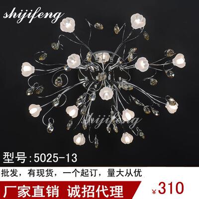 ceiling lamp吸顶灯饰异形浪漫个性大气厅客厅卧室书房间灯具