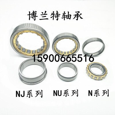 短圆柱滚子轴承N NJ NU1004 1005 1006 1007 1008 1009 1010EM