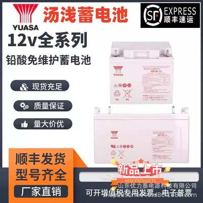 YUASA汤浅蓄电池NP100-1212V65AH3824铅酸直流屏UPS电源电瓶