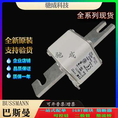 巴斯曼170M4746 170M4747 170M4758 长期  零售 快速保险丝