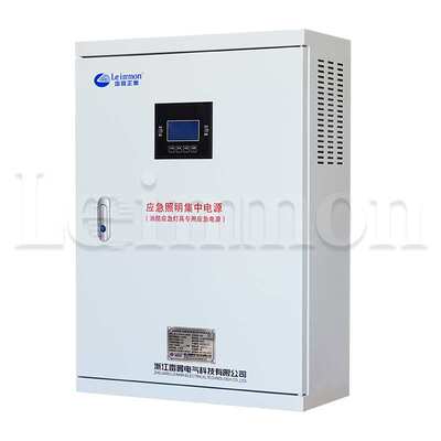 直流应急照明集中电源配电箱LM-D-0.3 90分钟 DC36V 智能疏散指示