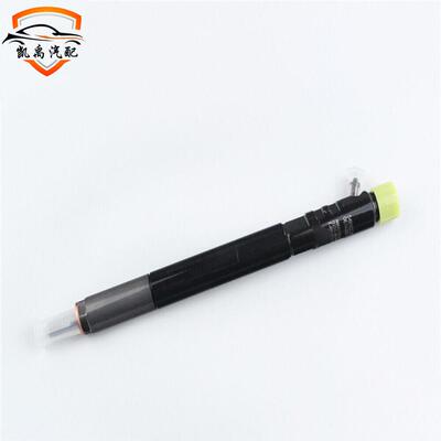 厂家直销适用于双龙爱腾 喷油器EJBR04501D A6640170121