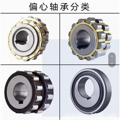 减速机偏心轴承 RN205 RN206 RN307 RN309 204 312 219 222 228 M