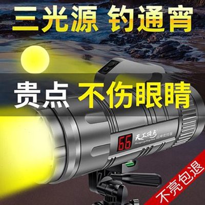 顶点夜钓灯镭射炮钓鱼灯钓灯大功率强光蓝光灯疝气灯黑坑变焦野钓