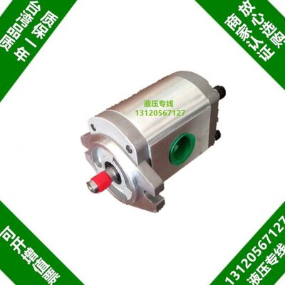 P208RP01DT P206RP01DT P204RP01DT 台湾台成齿轮泵