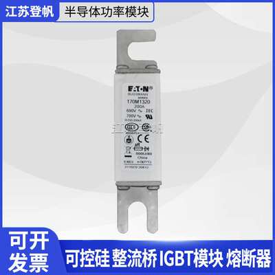 170M1320 170M4410 170M5388  170M5447  170M5448巴斯曼熔断器