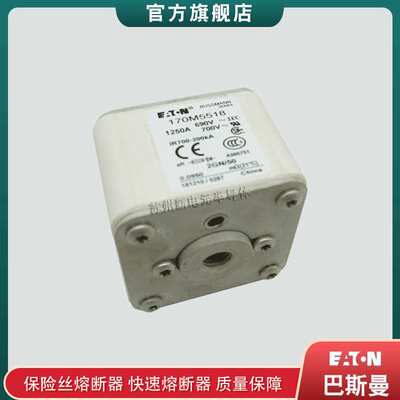 170M5536 5537 5538 5539 5540 巴斯曼bussmann快速熔断器保险丝