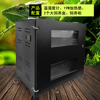 爬虫保温蝎小爬宠饲养盒PVC角蛙乌龟箱子蜘蛛守宫加热繁殖宠物柜