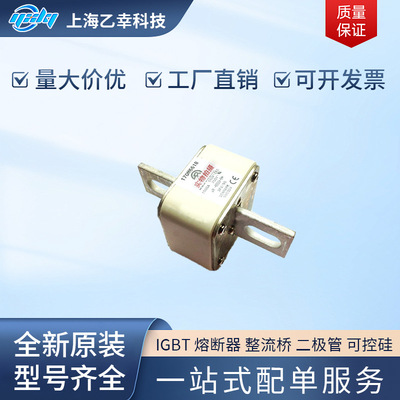 巴斯曼熔断器170M6647170M6648170M6649170M6650170M6651
