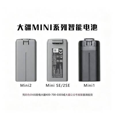 大疆无人机无原厂mini2/mini4k/mini2se飞行电池 充电管家配件