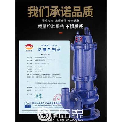 QWB/WQB防爆潜水排污泵 加油站防爆潜污泵1.5KW 工程污水污物泵