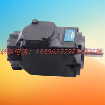 T6CCW 022 008/006/005/003 1R00/2R00 C100丹尼逊DENISON叶片泵