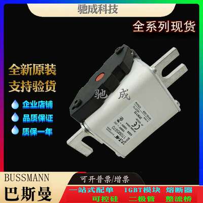 巴斯曼170M5968 170M5969 170M5970 长期 优价供应 快速保险丝