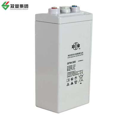 双登蓄电池GFM-200/2V200AH/300AH/400AH/500AH直流屏EPS电厂电池