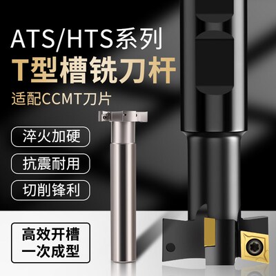 TJU钻铣刀杆C10/12/16/20过中心数控一体插铣精铣加硬铣刀杆CMPT