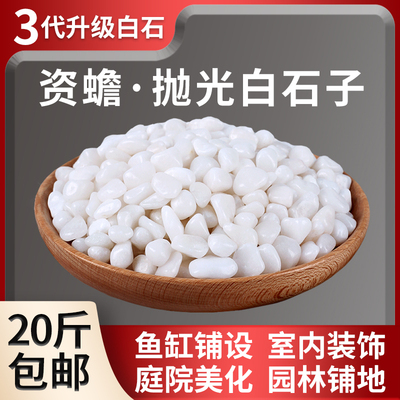 20斤白色鹅卵石鱼缸造景石头装饰阳台庭院造景观铺地小白石子